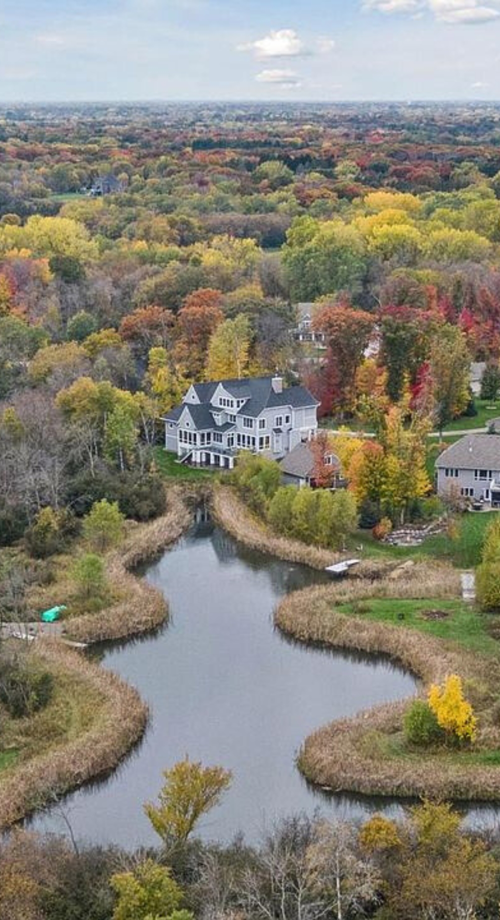 Mosquito Control In Ham Lake | Mosquito Shield