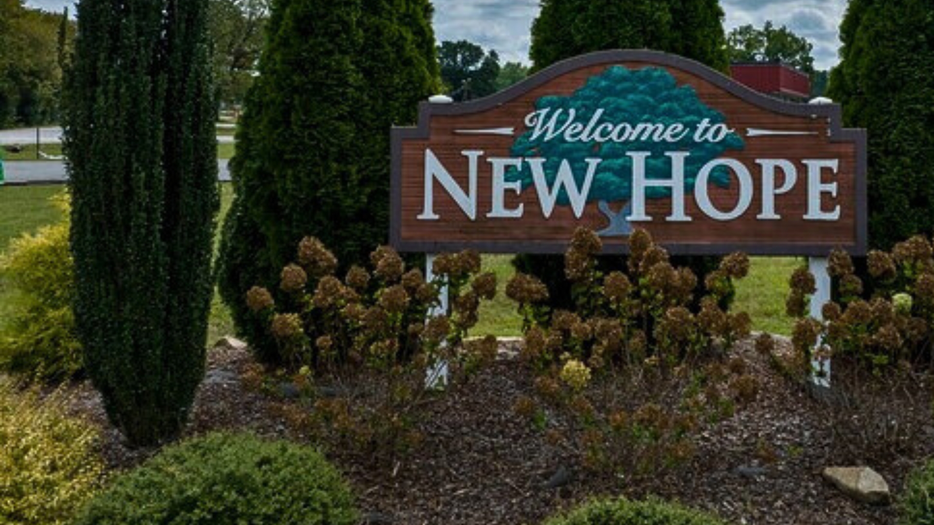 Mosquito Control In New Hope | Mosquito Shield